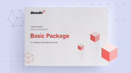 Partner Success Services Overview: Basic Package | Denodo